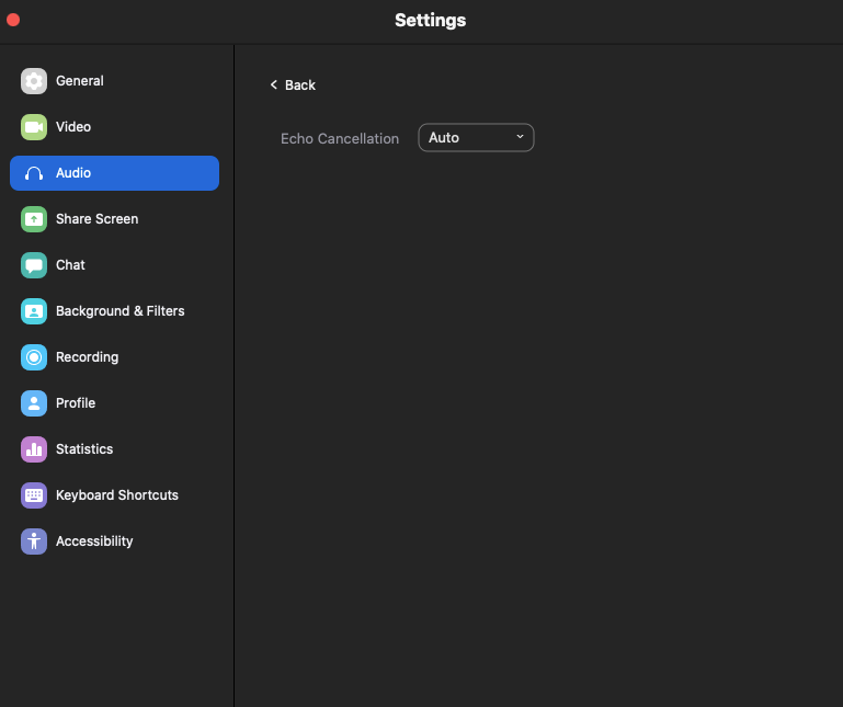 Best Zoom Audio Settings for Violin and Viola Lessons | Lessonface